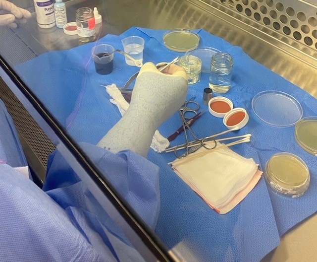 CEBT Designation Adds Credibility